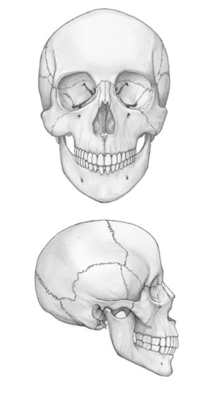 Chin correction - 2pass Clinic